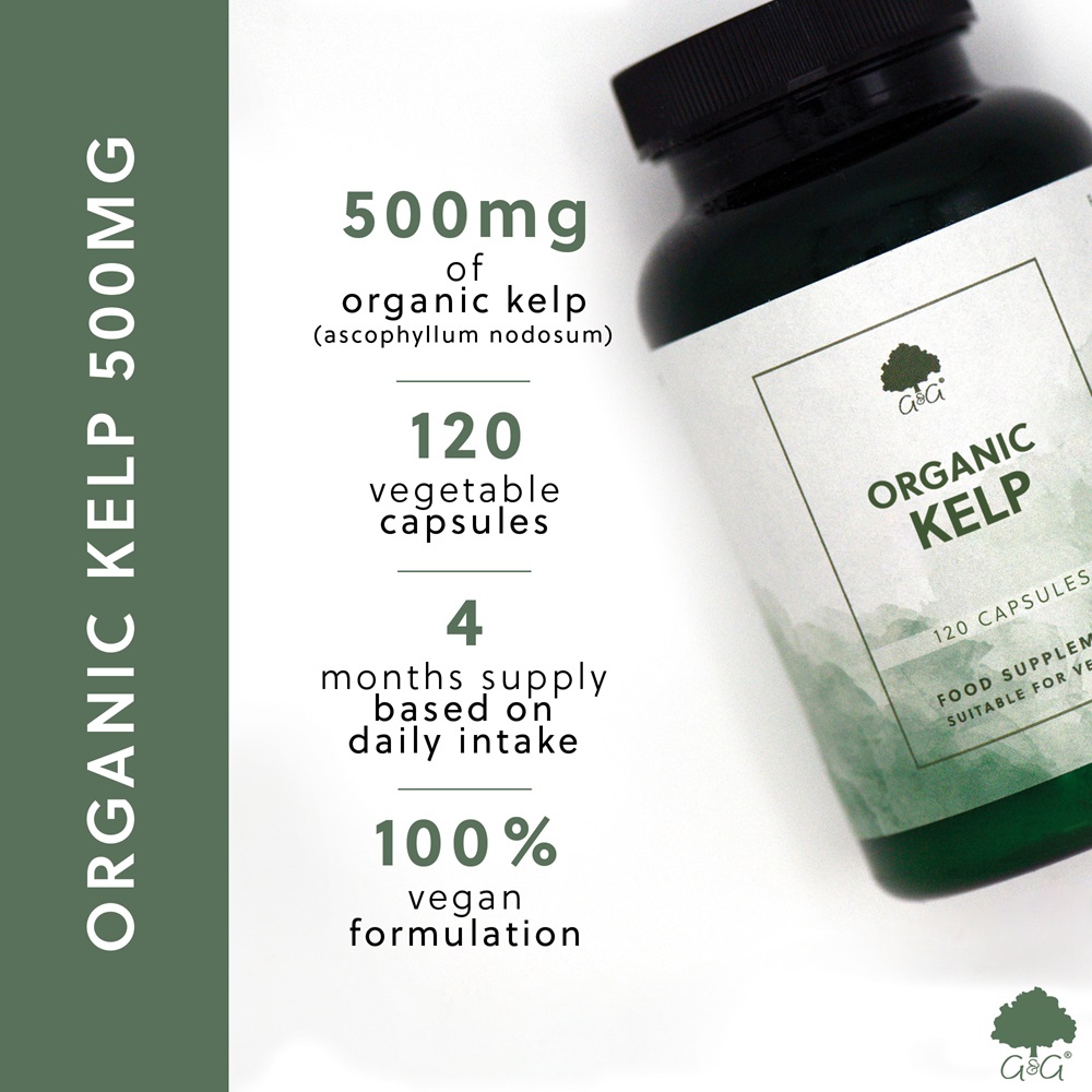 Organic Kelp 500mg (source of Iodine) - 120 Capsules | G&G Vitamins