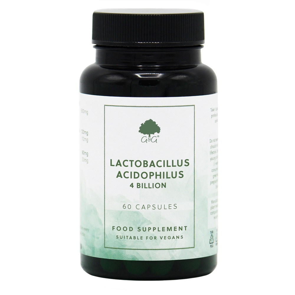 Lactobacillus Acidophilus - 60 Vegan Capsules | G&G Vitamins