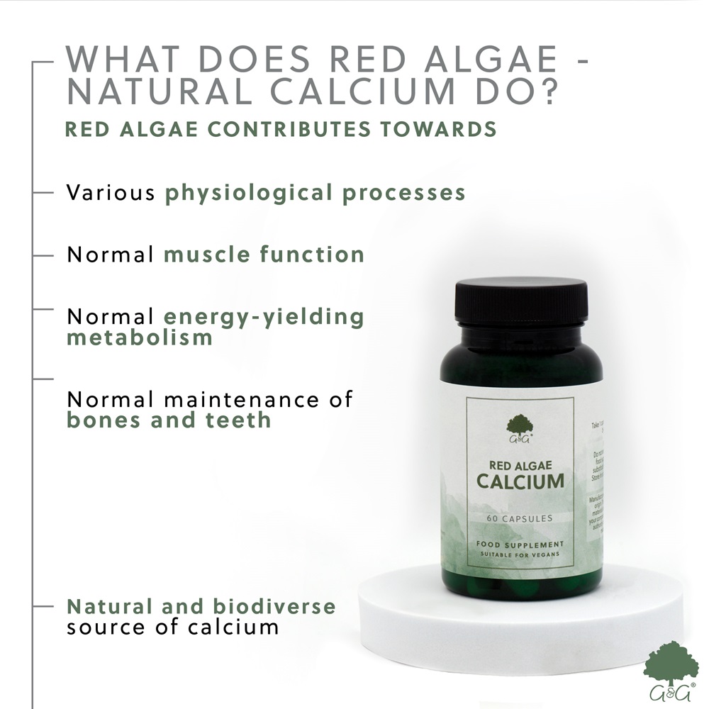 Red Algae Natural Calcium - 60 Vegan Capsules | G&G Vitamins